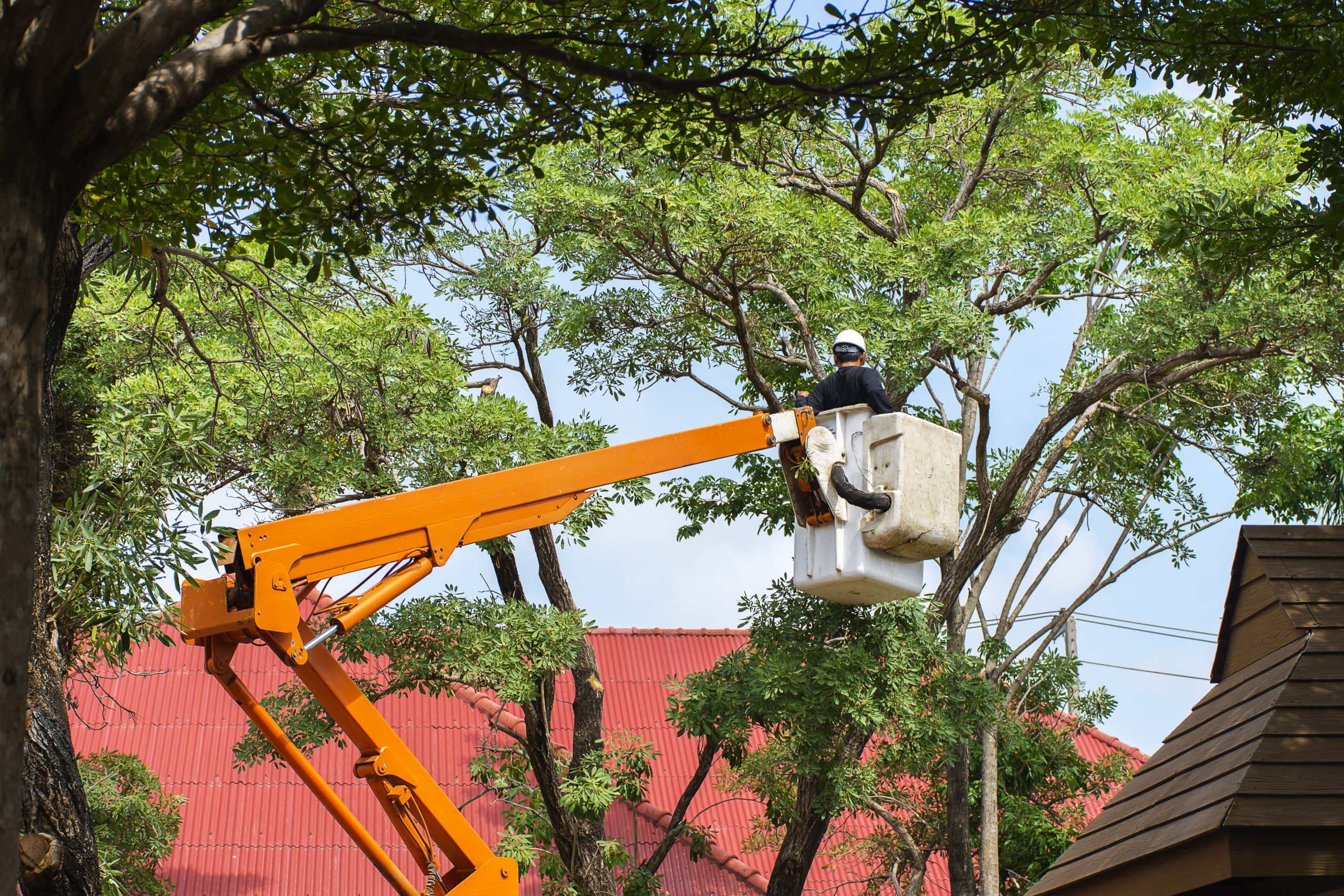 Bucket Rescues | BIS Safety Software