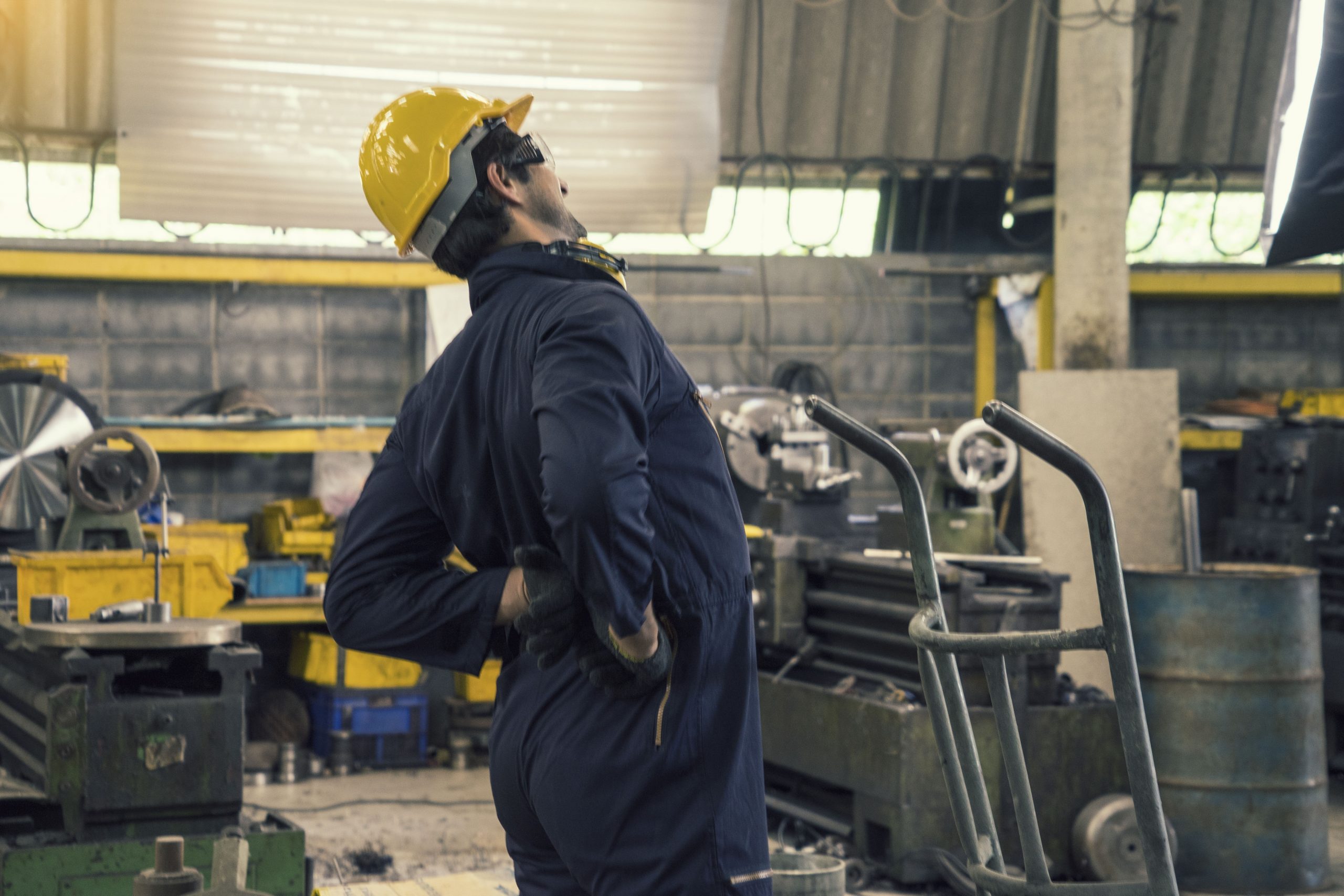 Back Safety Basics | BIS Safety Software