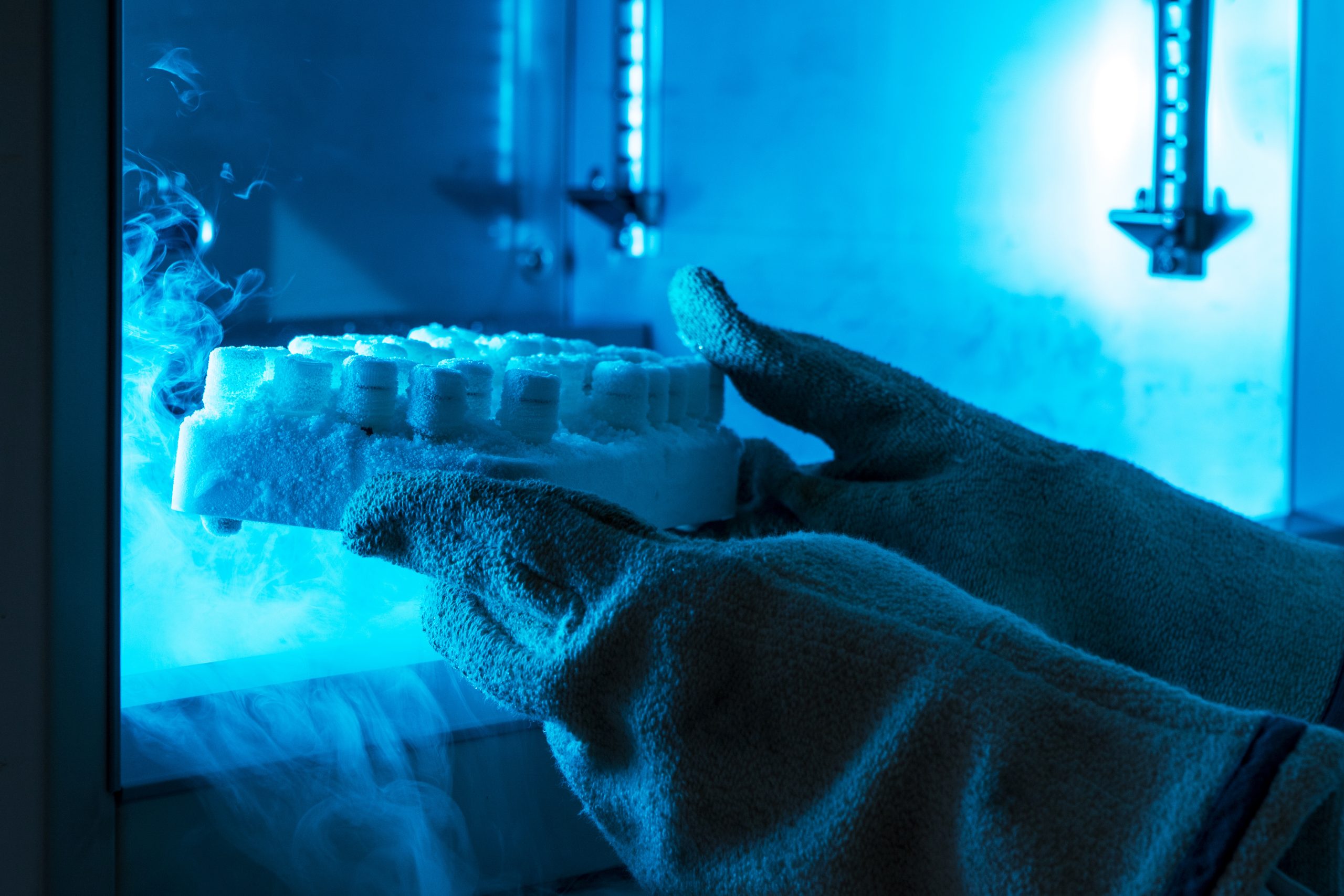 Shipping Biological Substances: Ground (CA)