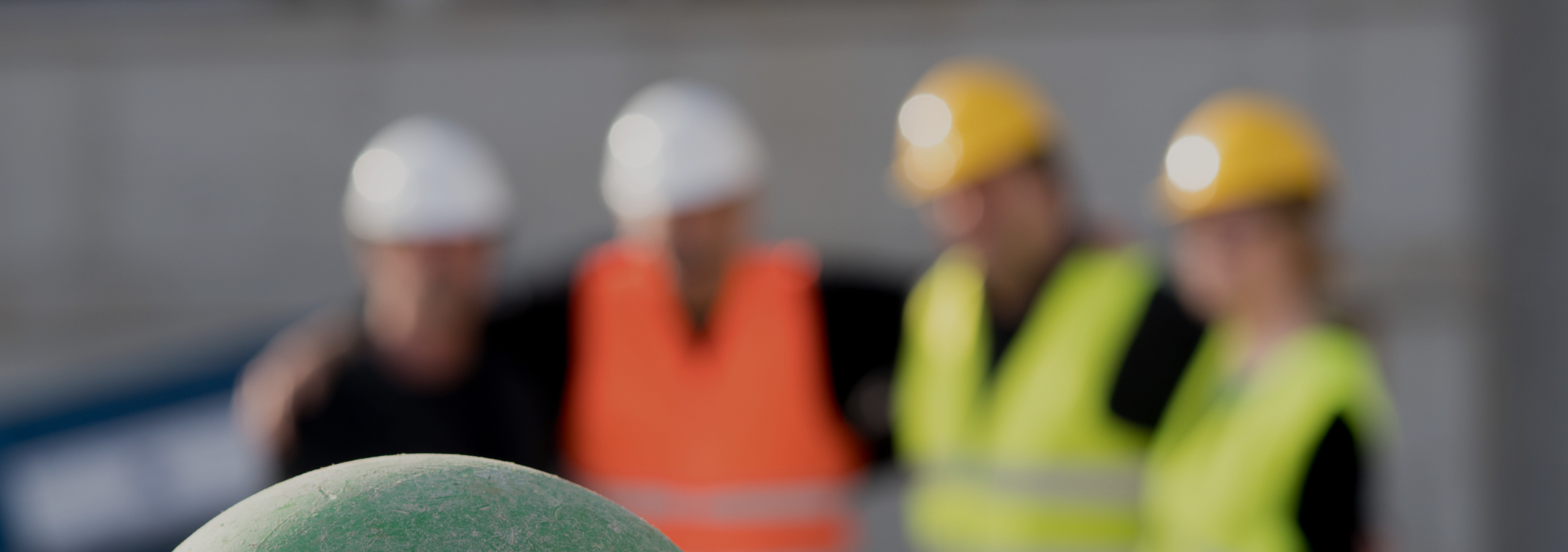 Safety Essentials Course Subscription | BIS Safety SoftwareBIS Safety ...