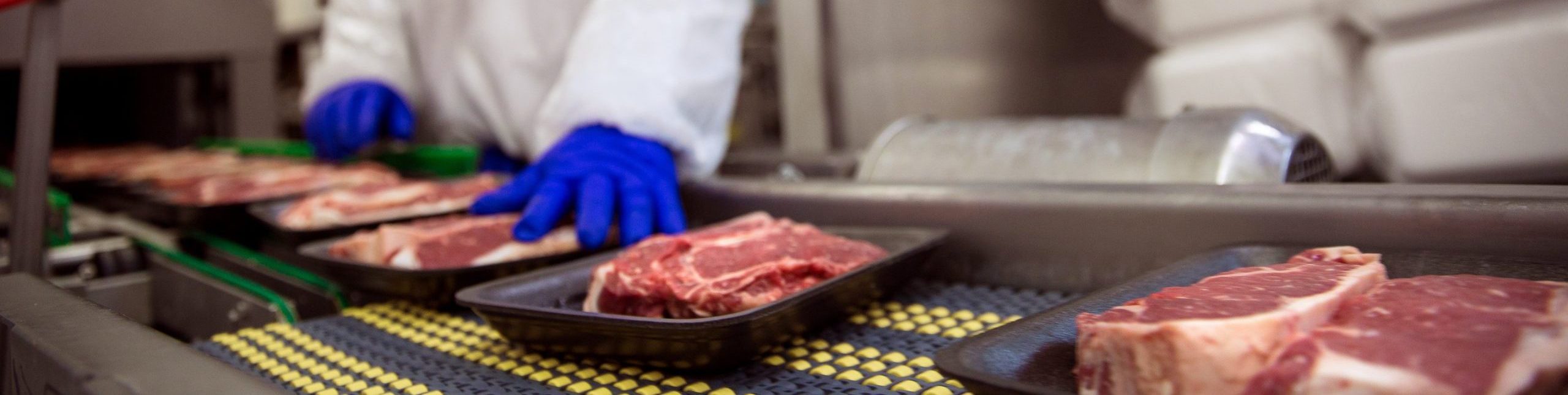 Food Handling Safety | BIS Safety Software